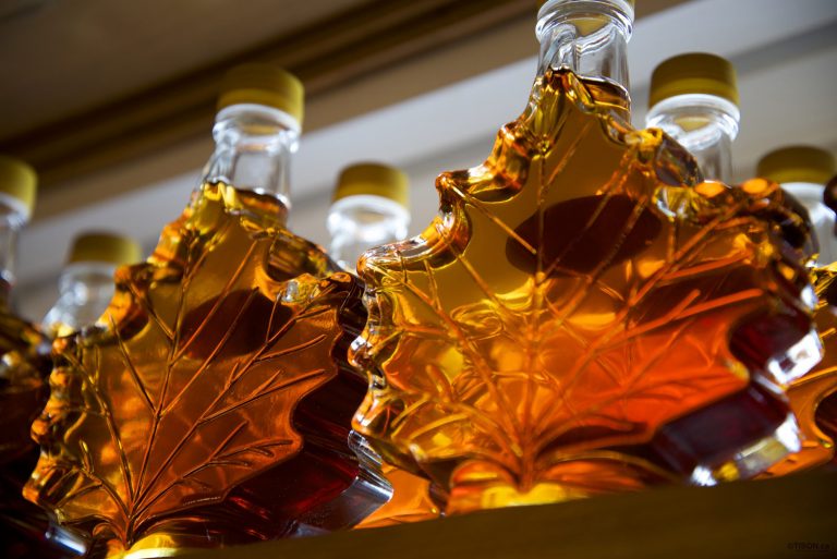 La cabane à sucre : un incontournable du Québec ! - Voyage en roue libre